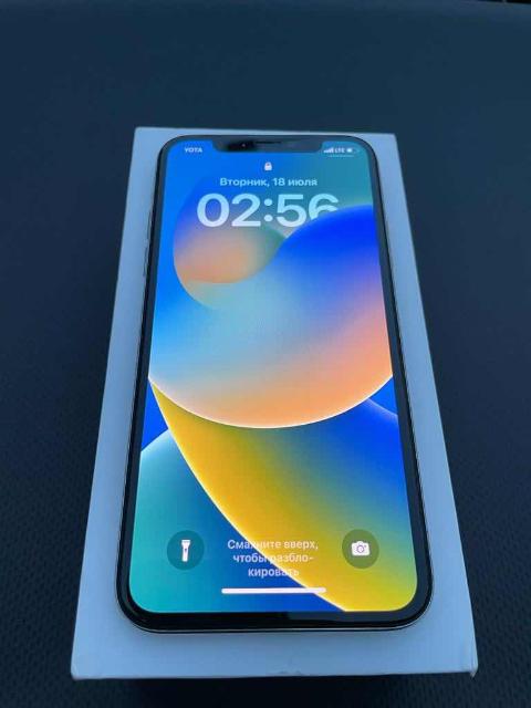 iPhone X